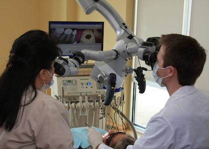 About Endodontics - Collins Endodontics